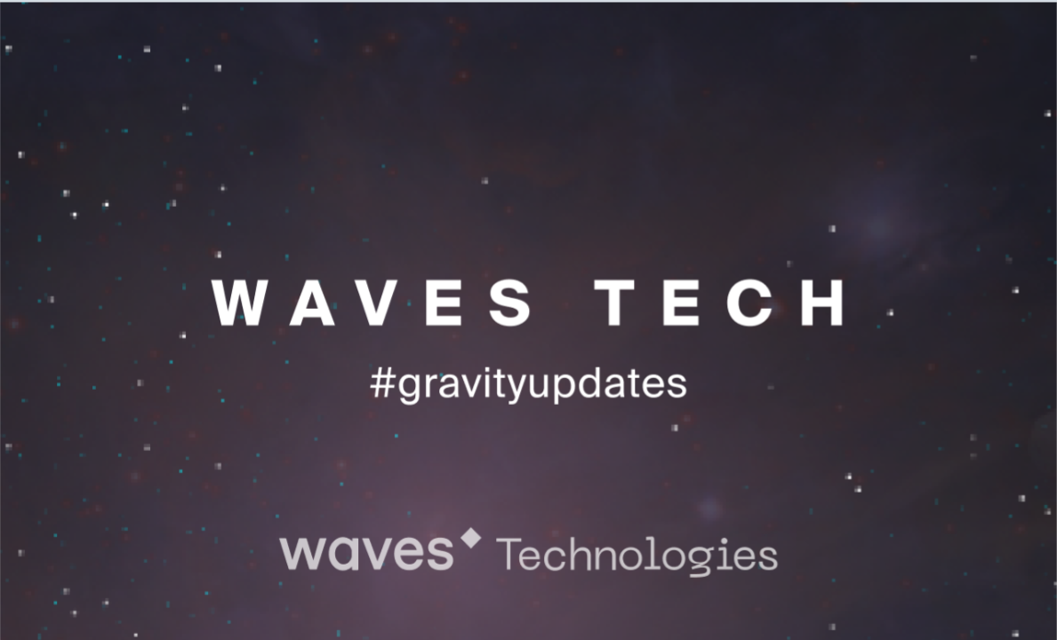 Интеграция Waves и Binance Smart Chain в альфа-версию сети Gravity - Community HUB