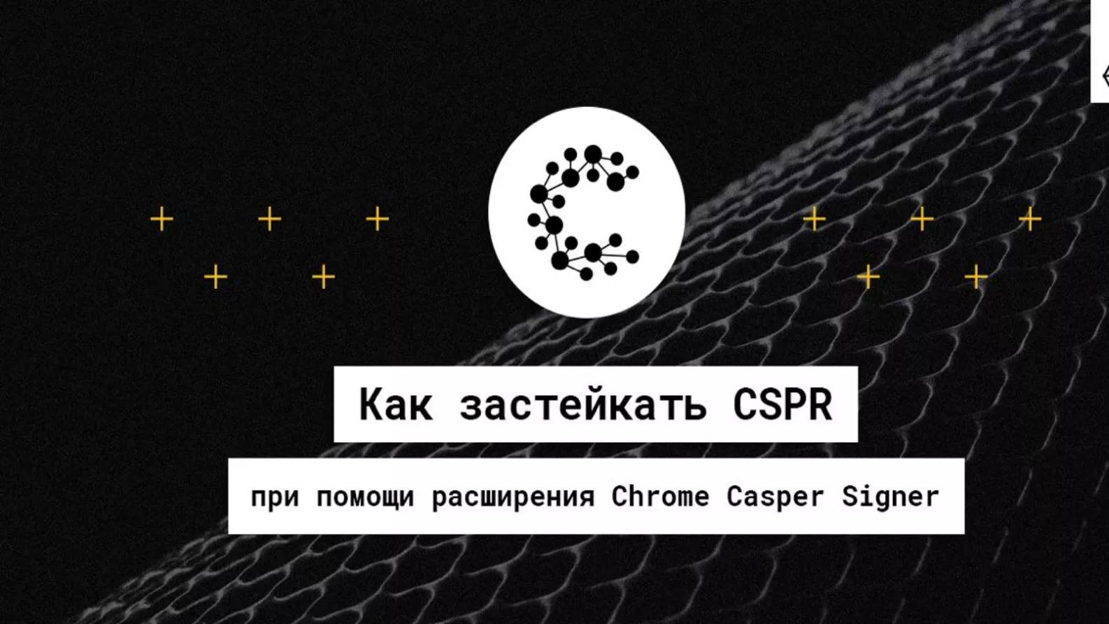 Как застейкать Casper (CSPR) при помощи расширения Casper Signer - Community HUB
